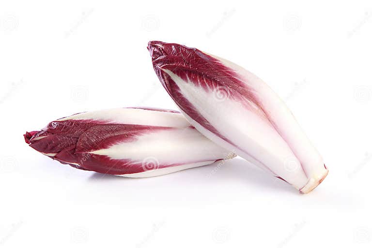 Red Chicory Varieties Isolated Stock Photo - Image of chicory ...