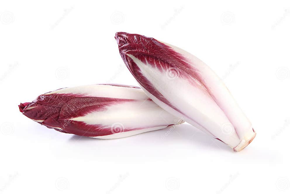 Red Chicory Varieties Isolated Stock Photo - Image of chicory ...
