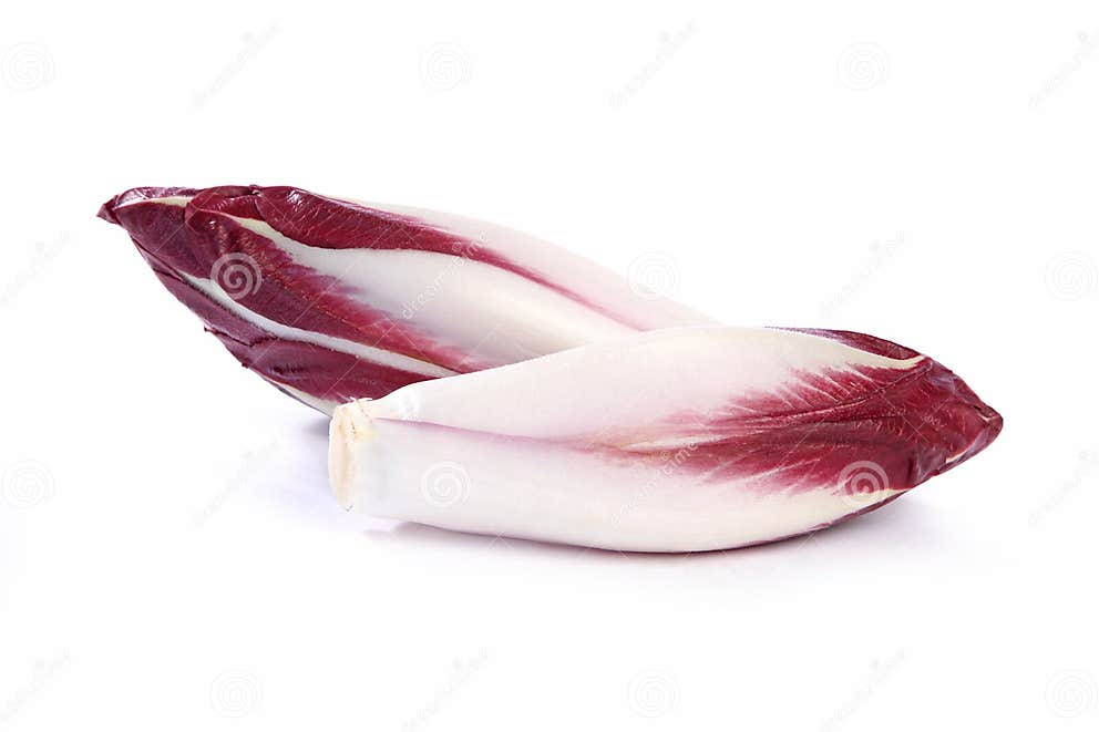 Red Chicory Varieties Isolated Stock Photo - Image of endives, trimmed ...