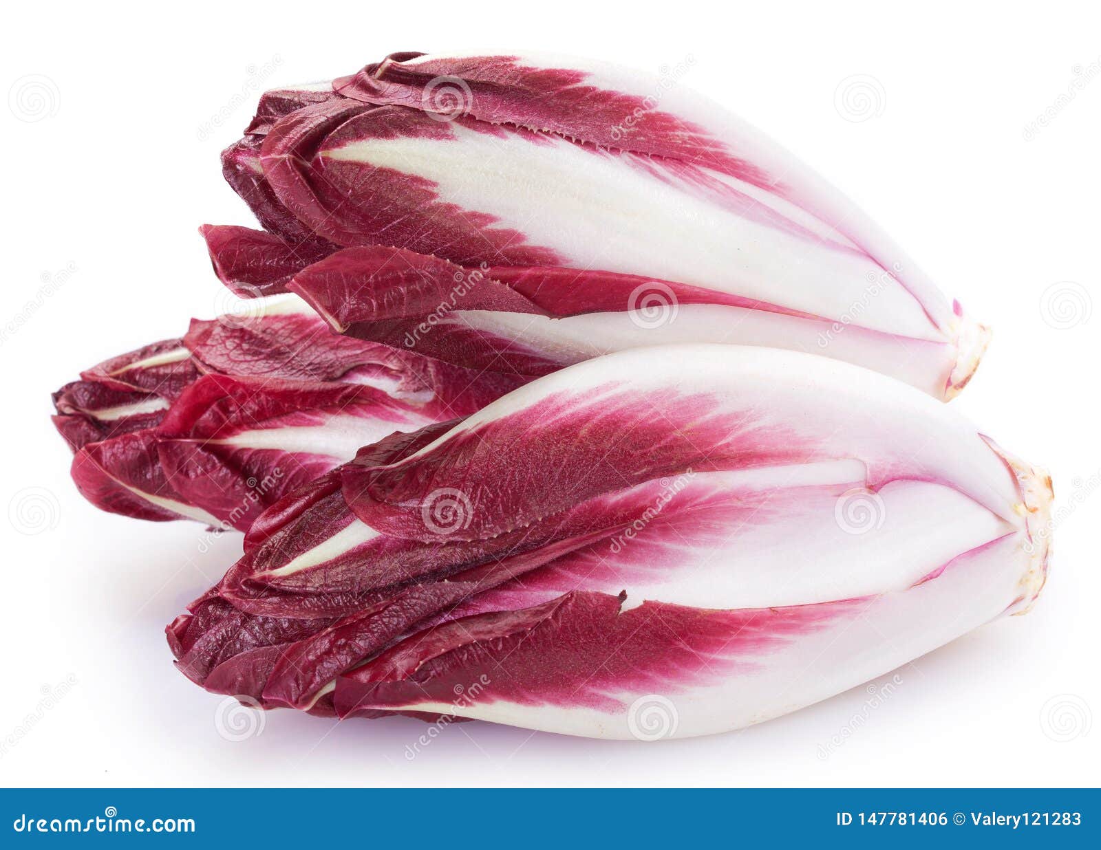 Red Chicory on White Background Stock Photo - Image of background ...