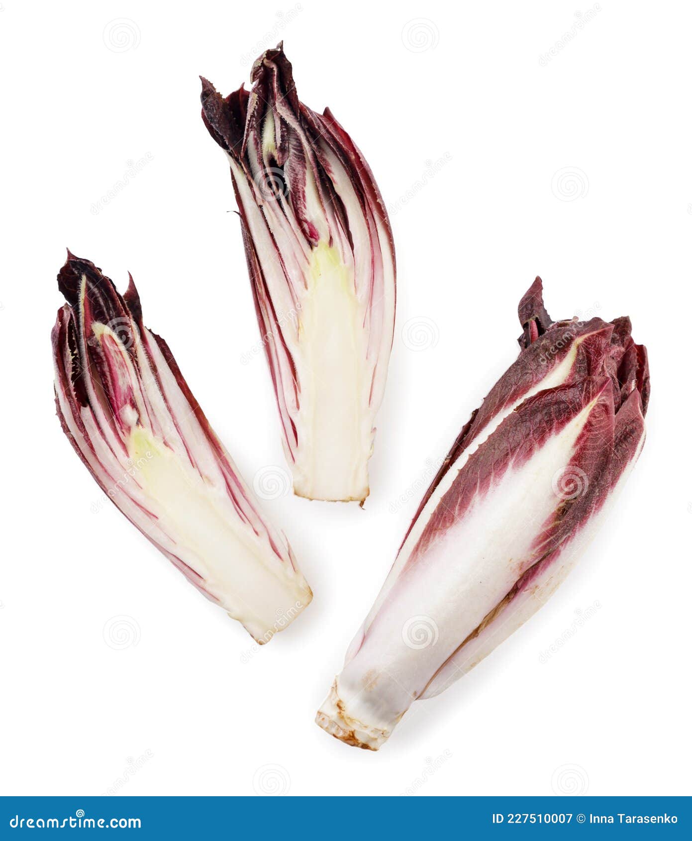 Red Chicory Whole and Half on a White Background, Isolated. Top View ...
