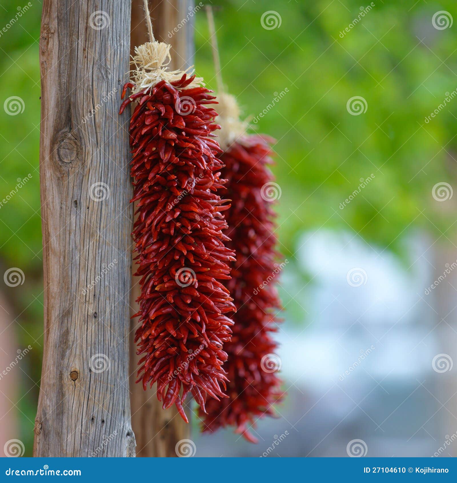 Red chile ristras stock photo. Image of hanging, mexican - 27104610