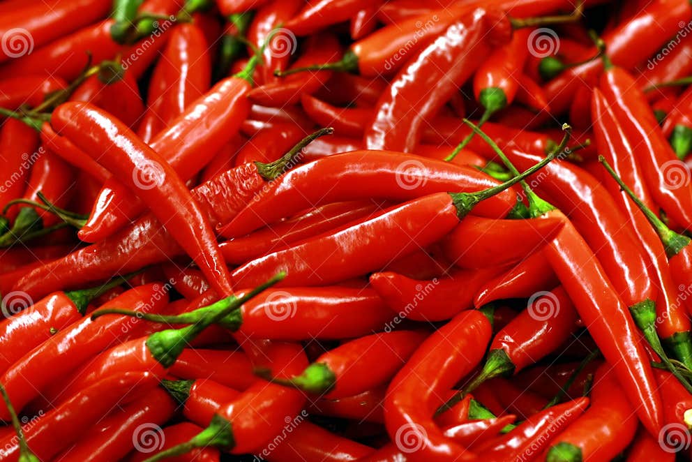 Red chili stock image. Image of spice, harvest, herbs - 14336035