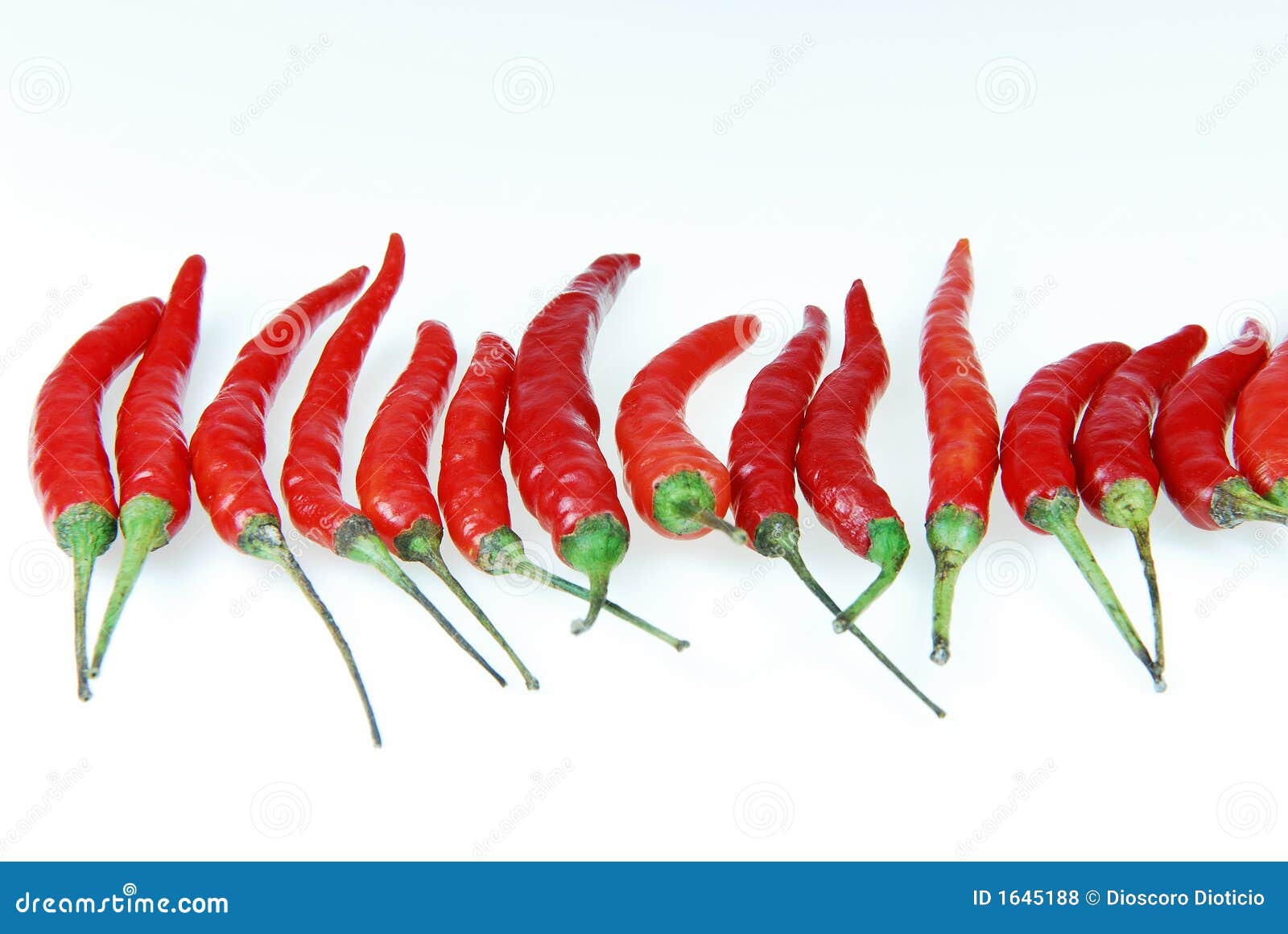Red chili stock photo. Image of delicious, pepper, food - 1645188