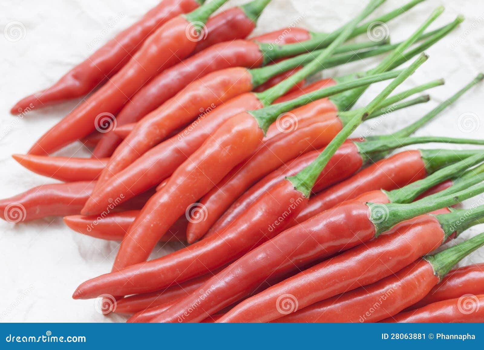 Red chili stock image. Image of natural, fresh, green - 28063881