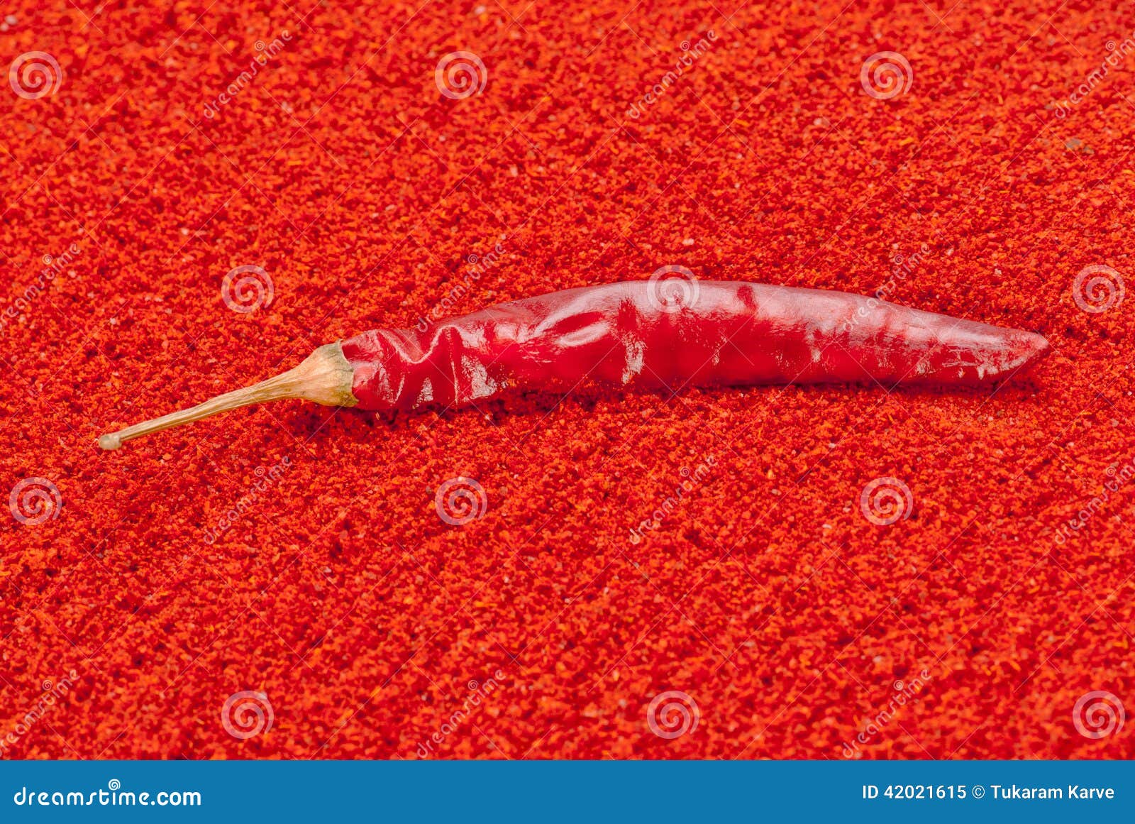 Red Chili stock image. Image of dazzling, culinary, cooking - 42021615