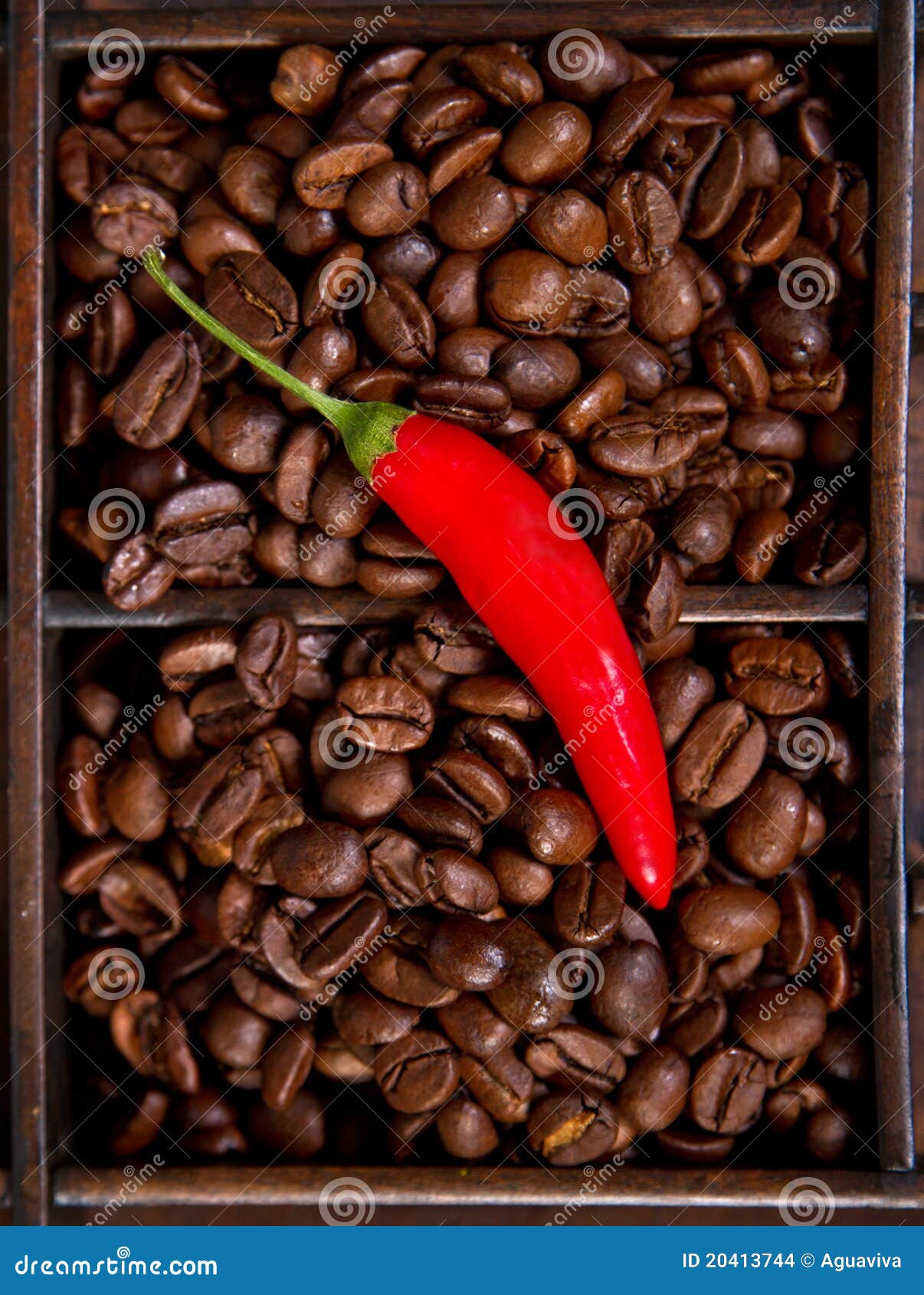 Red chili and coffee beans stock photo. Image of chili - 20413744