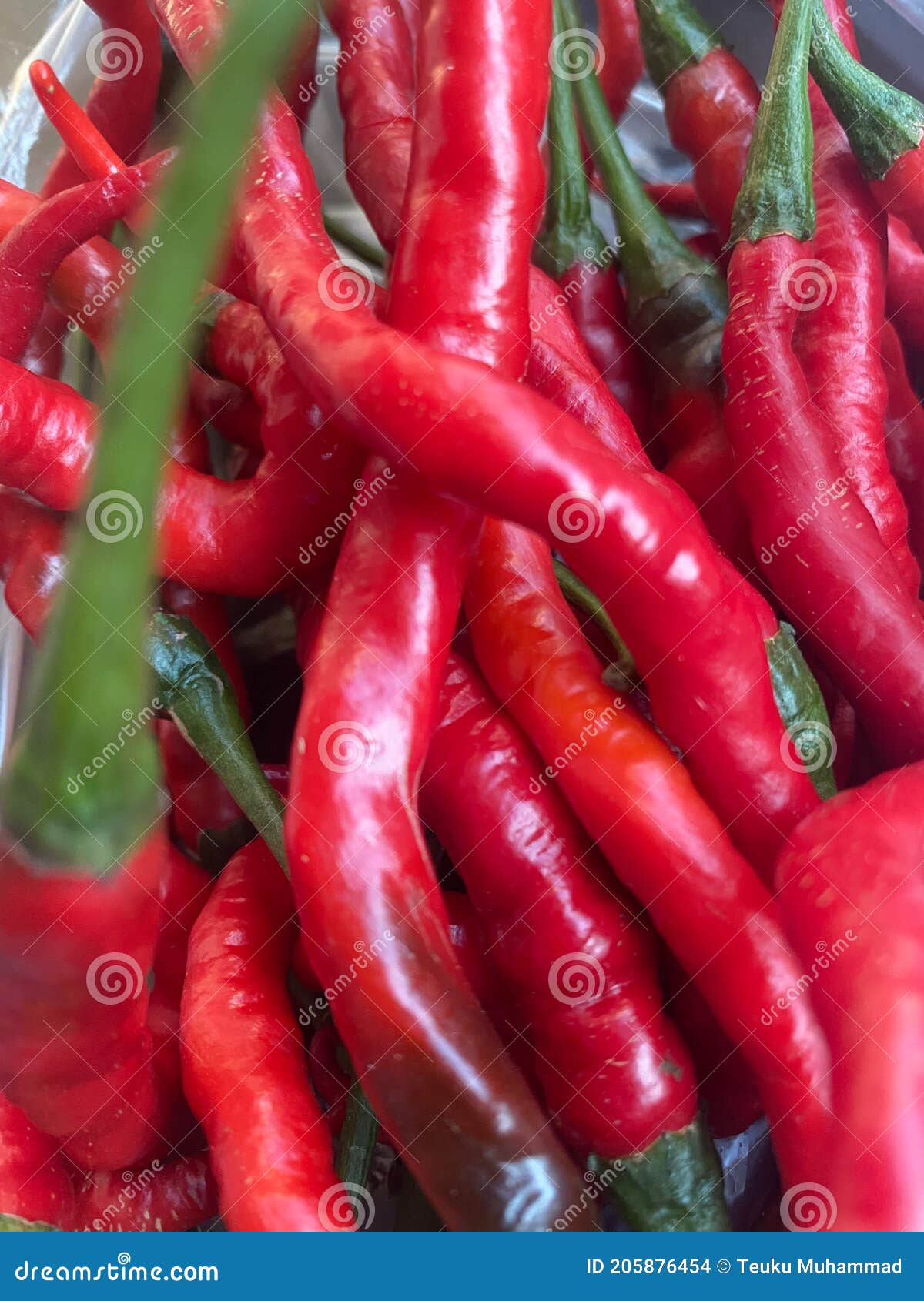 Red chili stock photo. Image of food, spicy, chili - 205876454