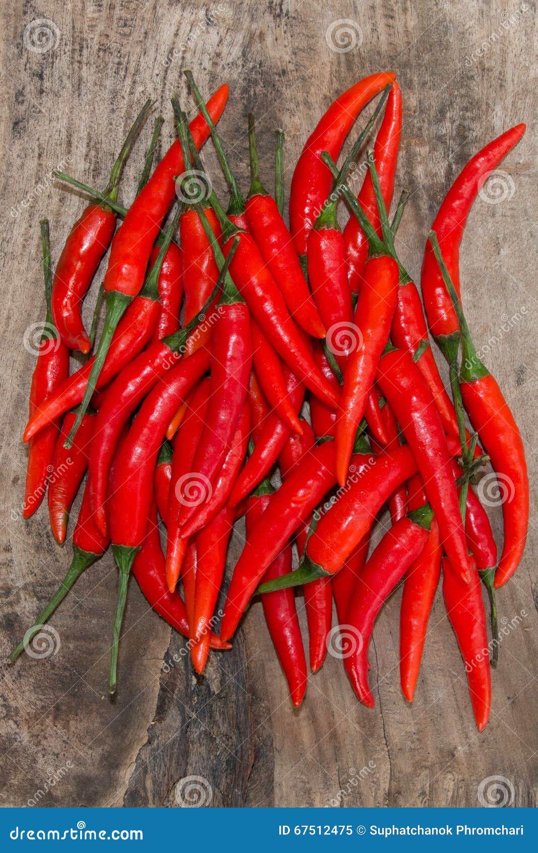 Red chili stock image. Image of chili, spicy, background - 67512475