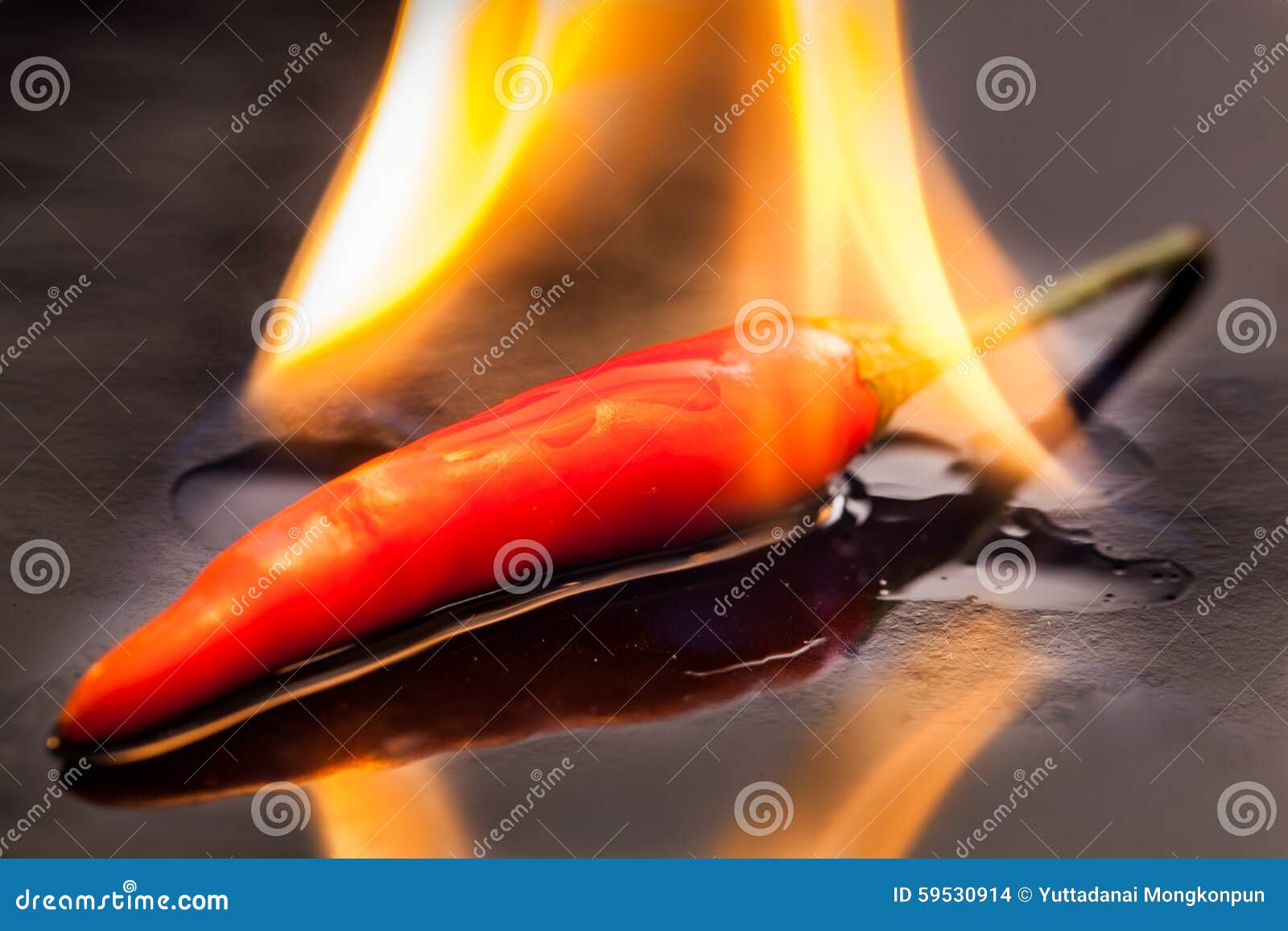 Red chili stock photo. Image of pepper, flame, cooking - 59530914