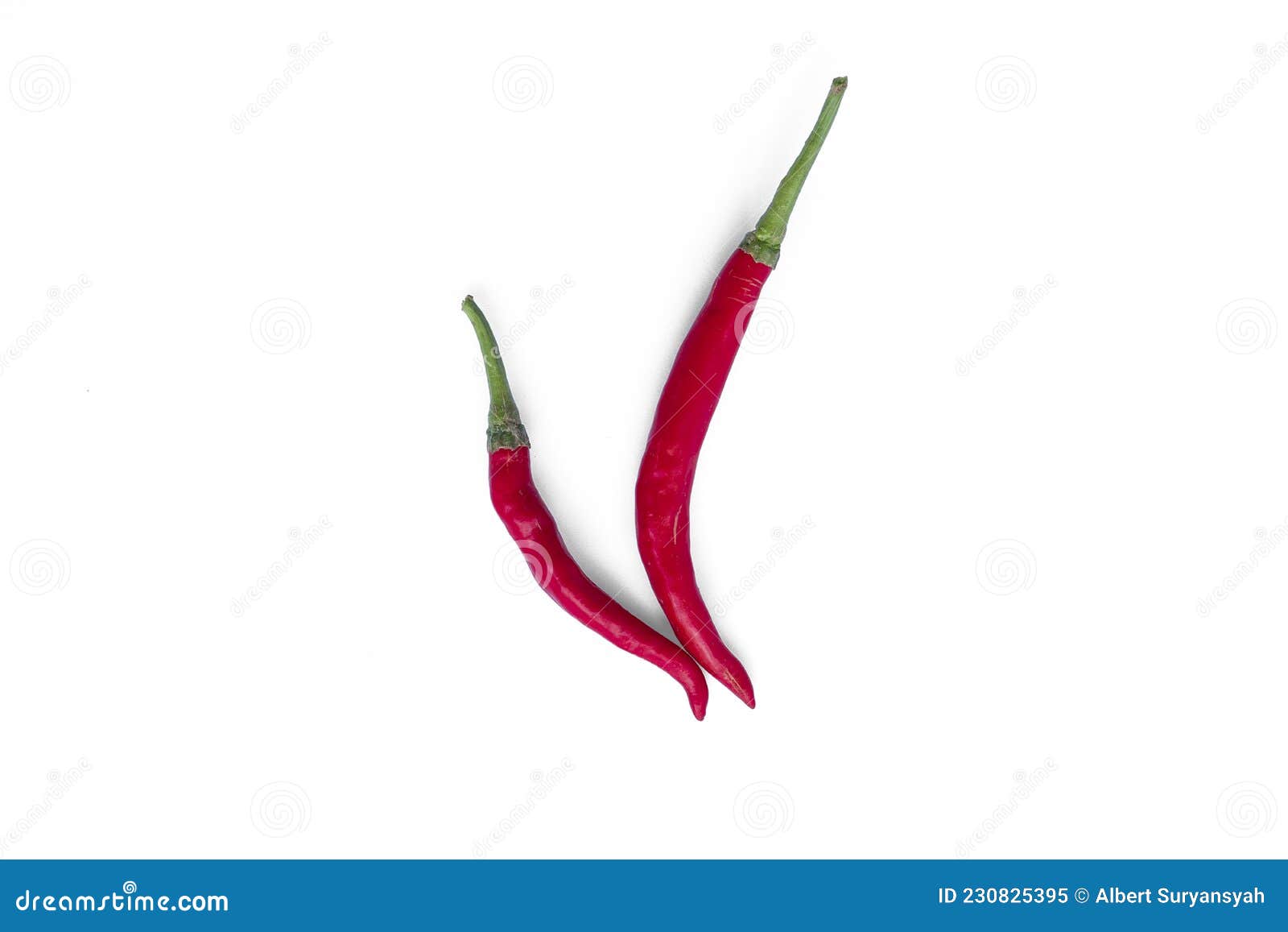 Red Chili on a Transparent Background Stock Image - Image of heat ...