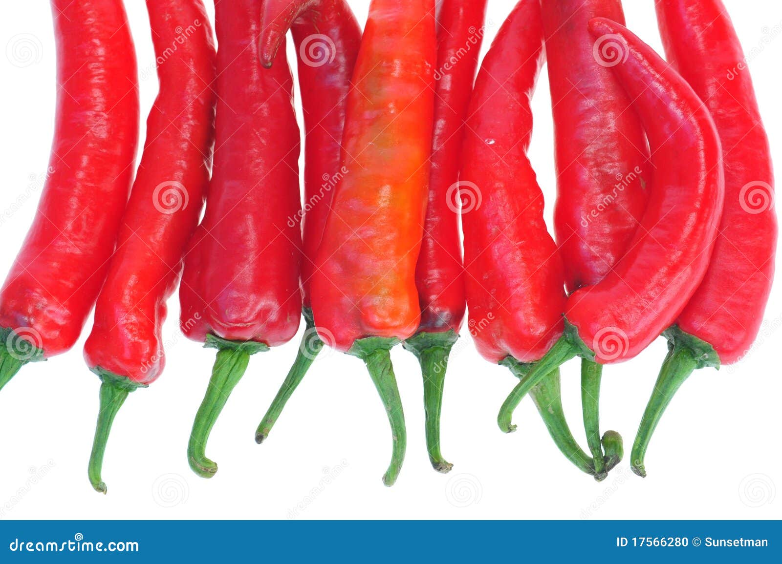 Red Chili Pepper stock photo. Image of nature, seeds - 17566280