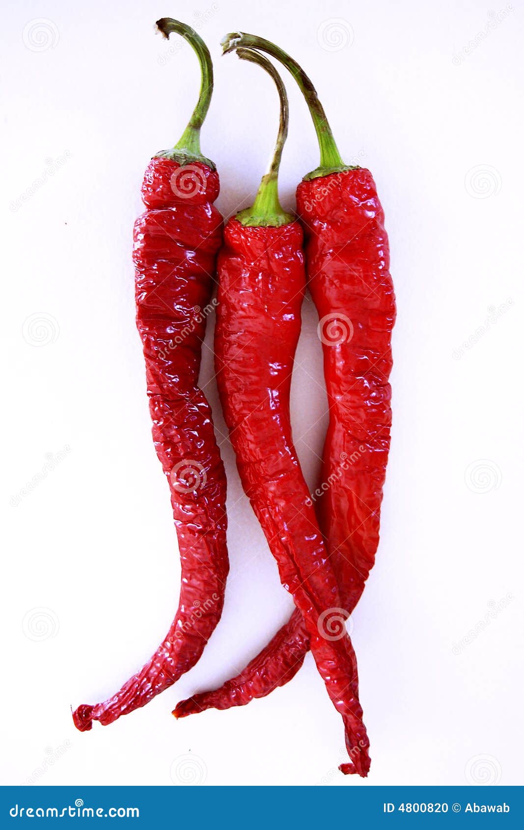 Red chili pepper stock photo. Image of pepper, flavour - 4800820