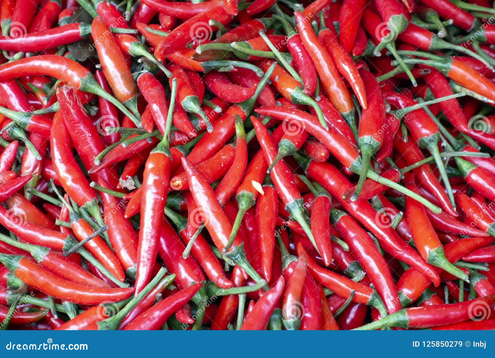 Red Chili Pepper Background Stock Image - Image of spice, pepper: 125850279