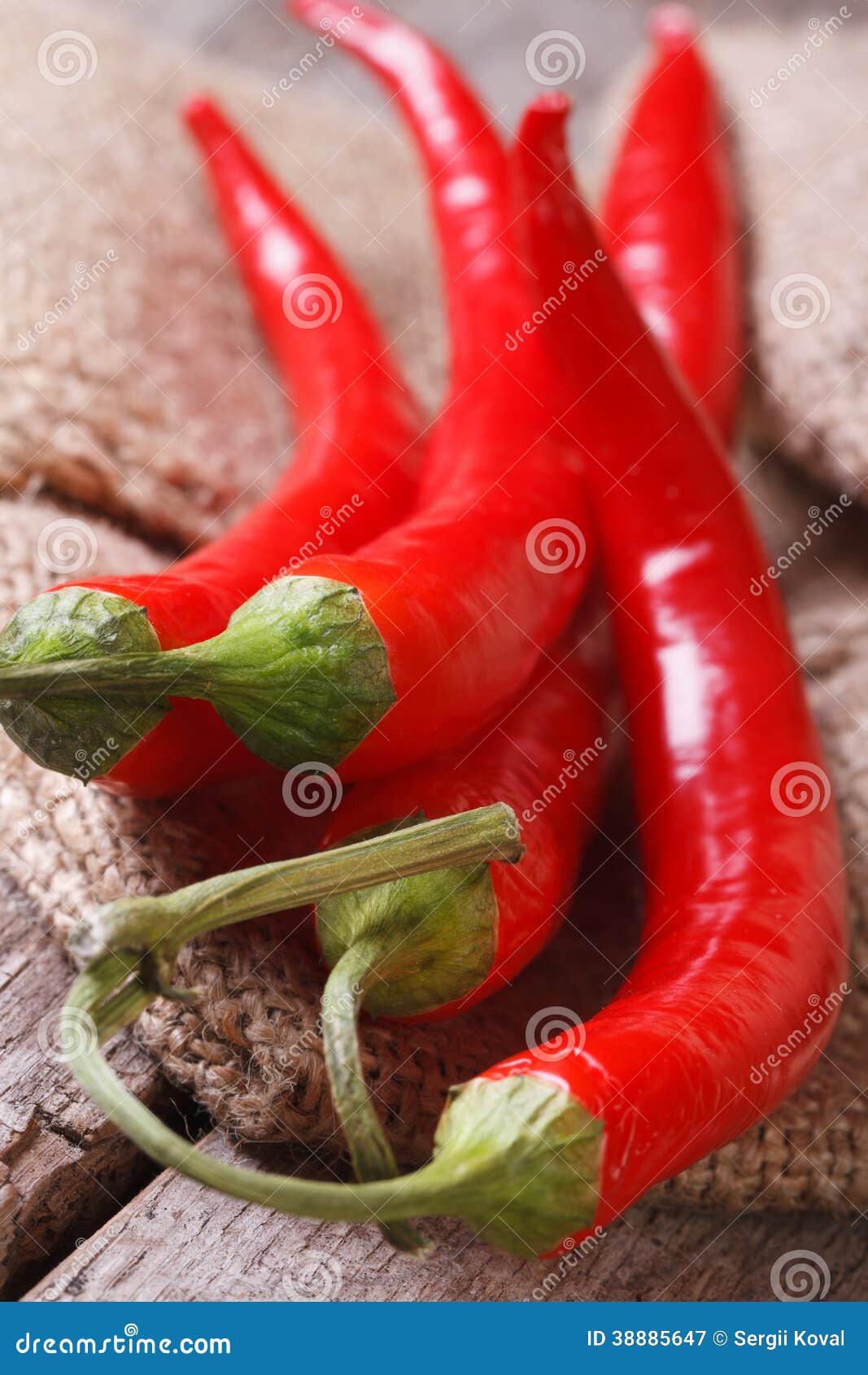 Red Chili Pepper on a Burlap Macro. Vertical Stock Image - Image of ...