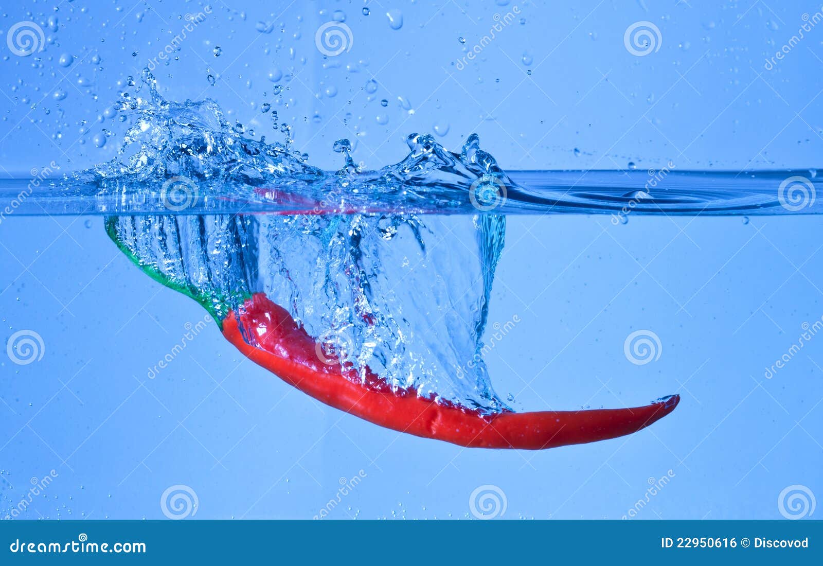 Red Chili Pepper Dropped into Water with Splash Stock Photo - Image of ...