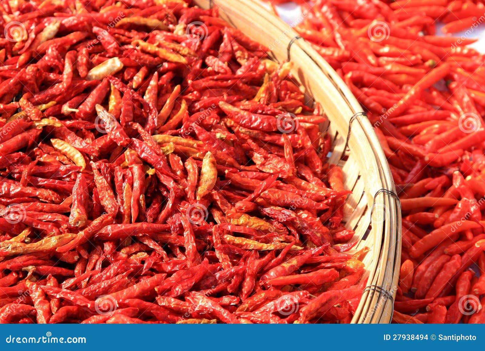 Red chili pepper dry stock photo. Image of vegetable - 27938494