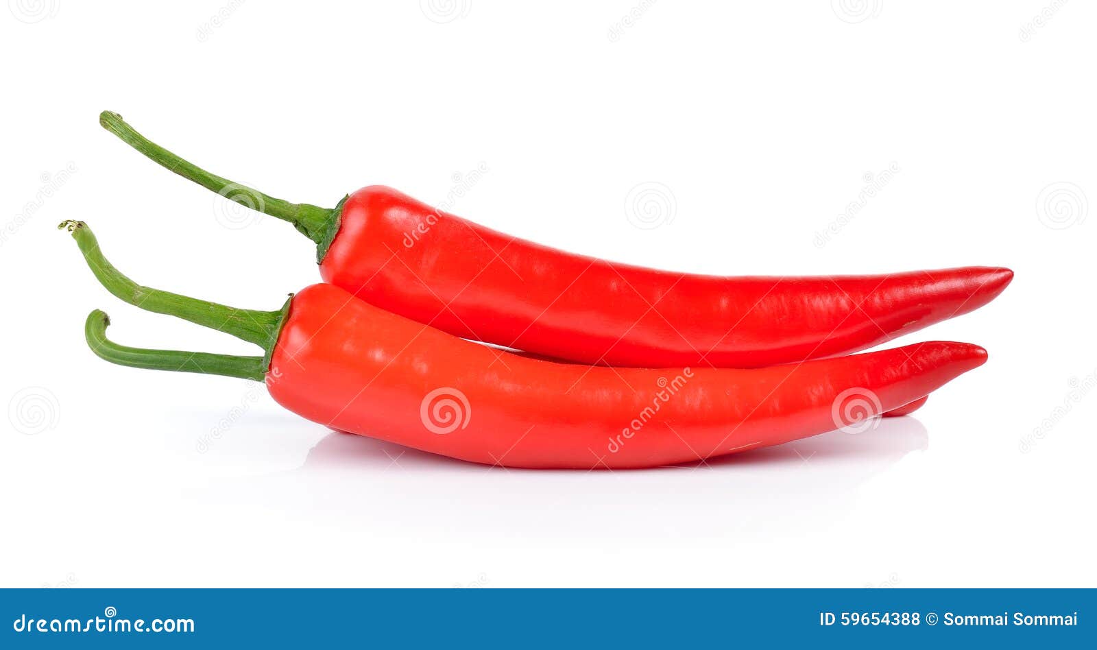 Red Chili Pepper Isolated on White Background Stock Photo - Image of ...