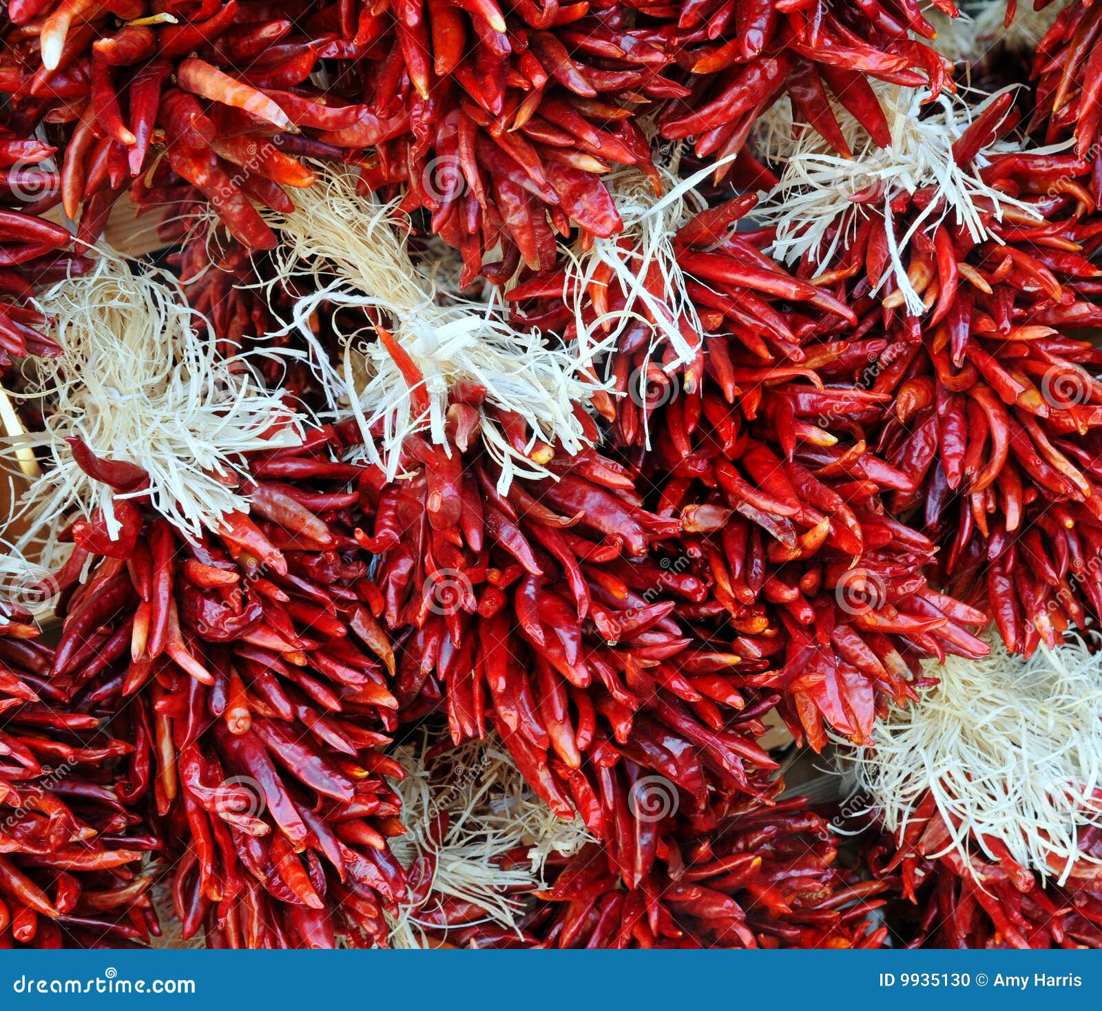 Red Chili Pepper Strands stock photo. Image of ingredient - 9935130