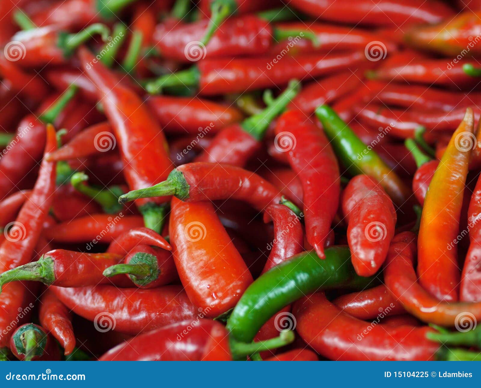 Red chili peppers stock image. Image of spicy, closeup - 15104225