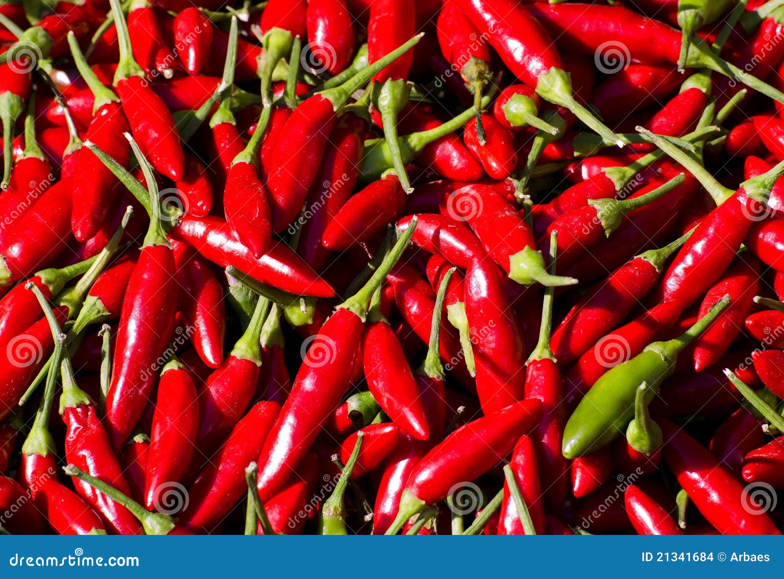 Red chili peppers stock photo. Image of burning, bright - 21341684