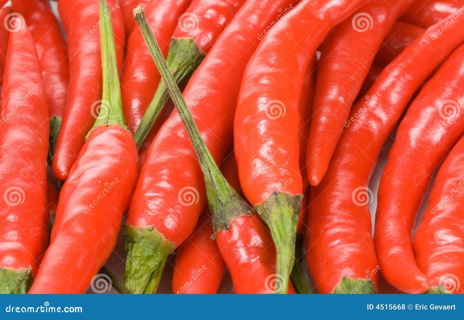 Red chili peppers stock photo. Image of healthy, space - 4515668