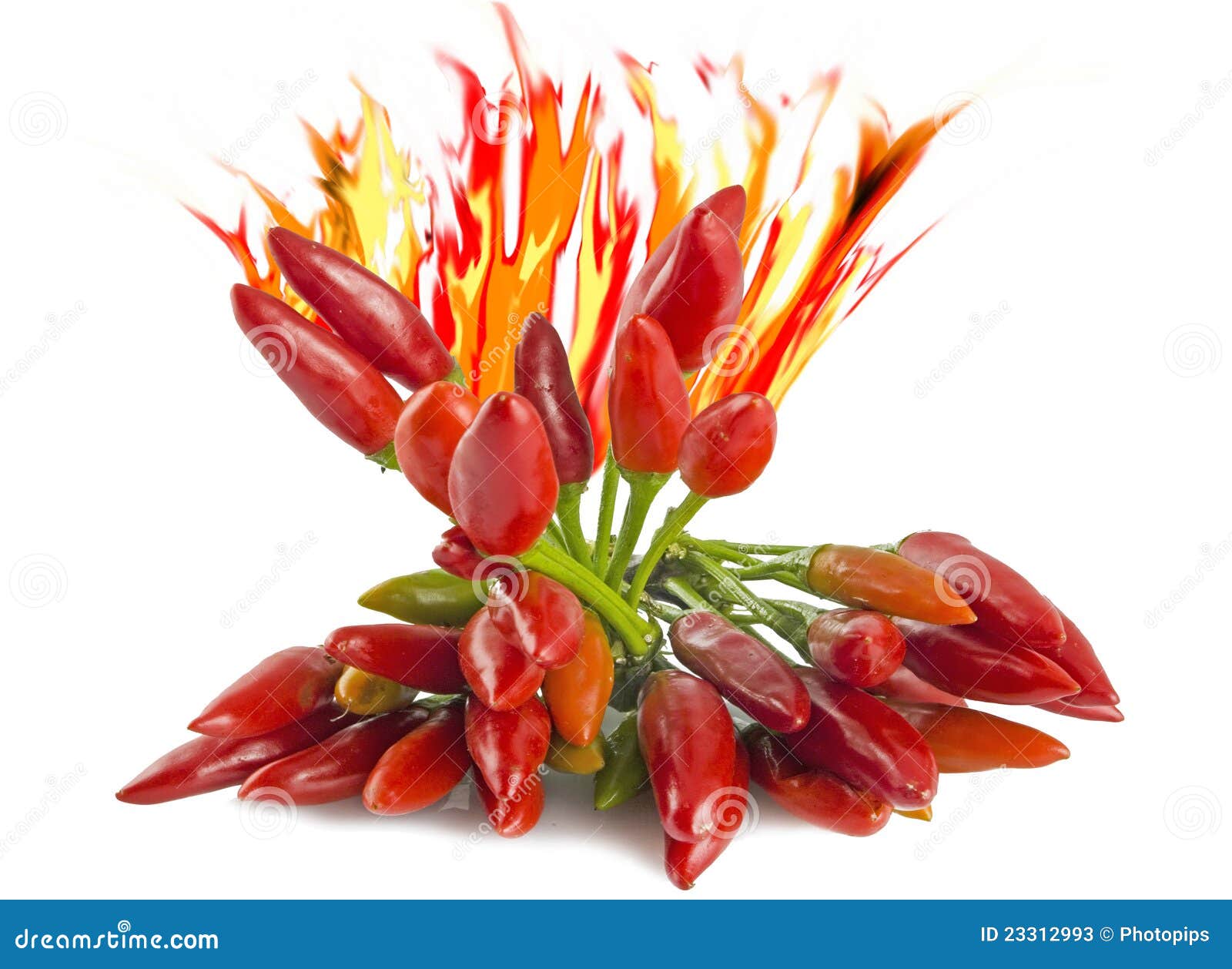 Red chili peppers in flame stock image. Image of dieting - 23312993