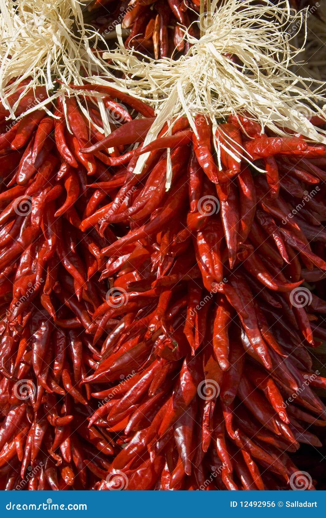 Red Chili Peppers Hanging. Close Up. Stock Photo - Image of mexican ...