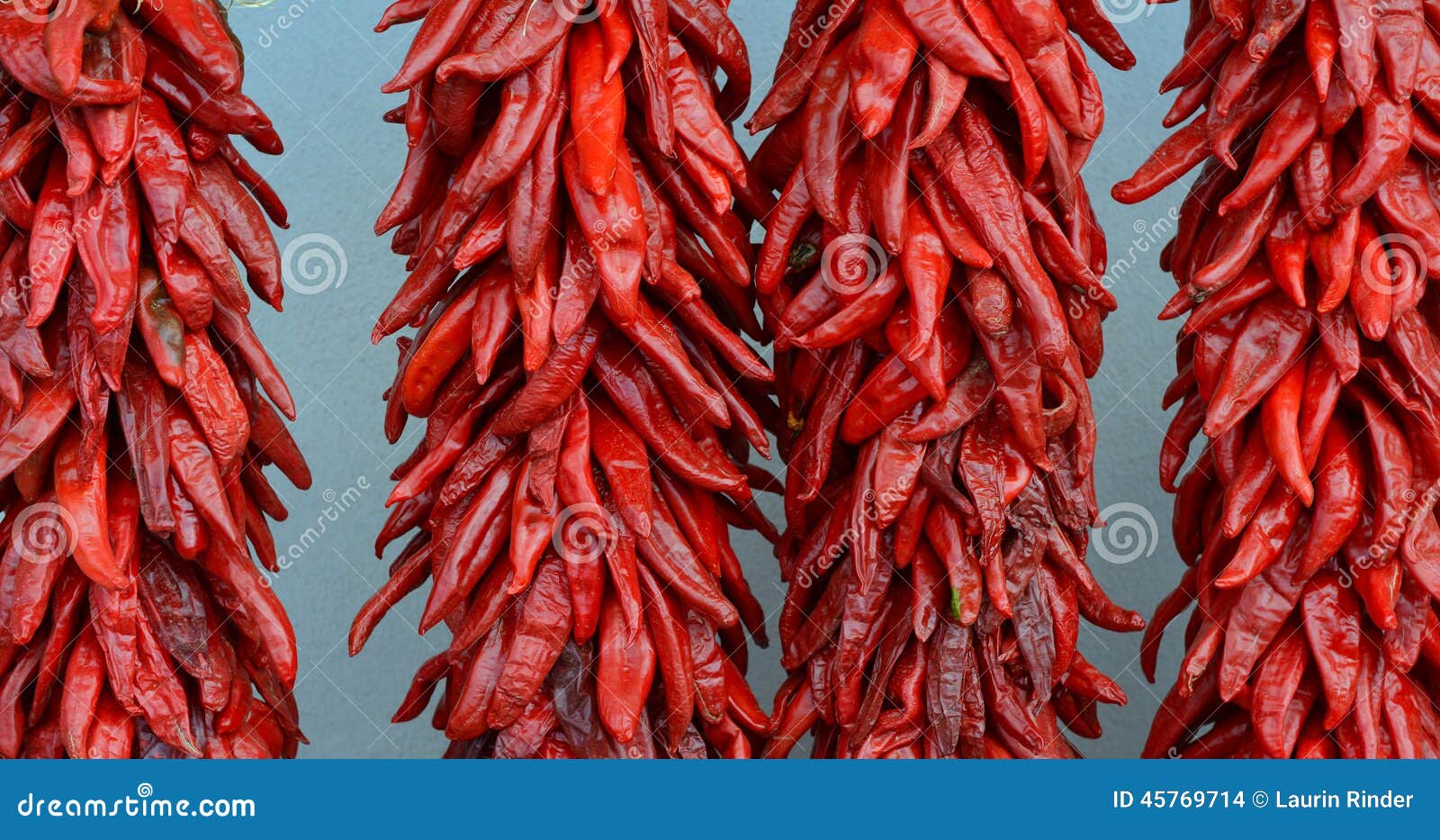 Red Chilis stock photo. Image of agriculture, fruit, organic - 45769714