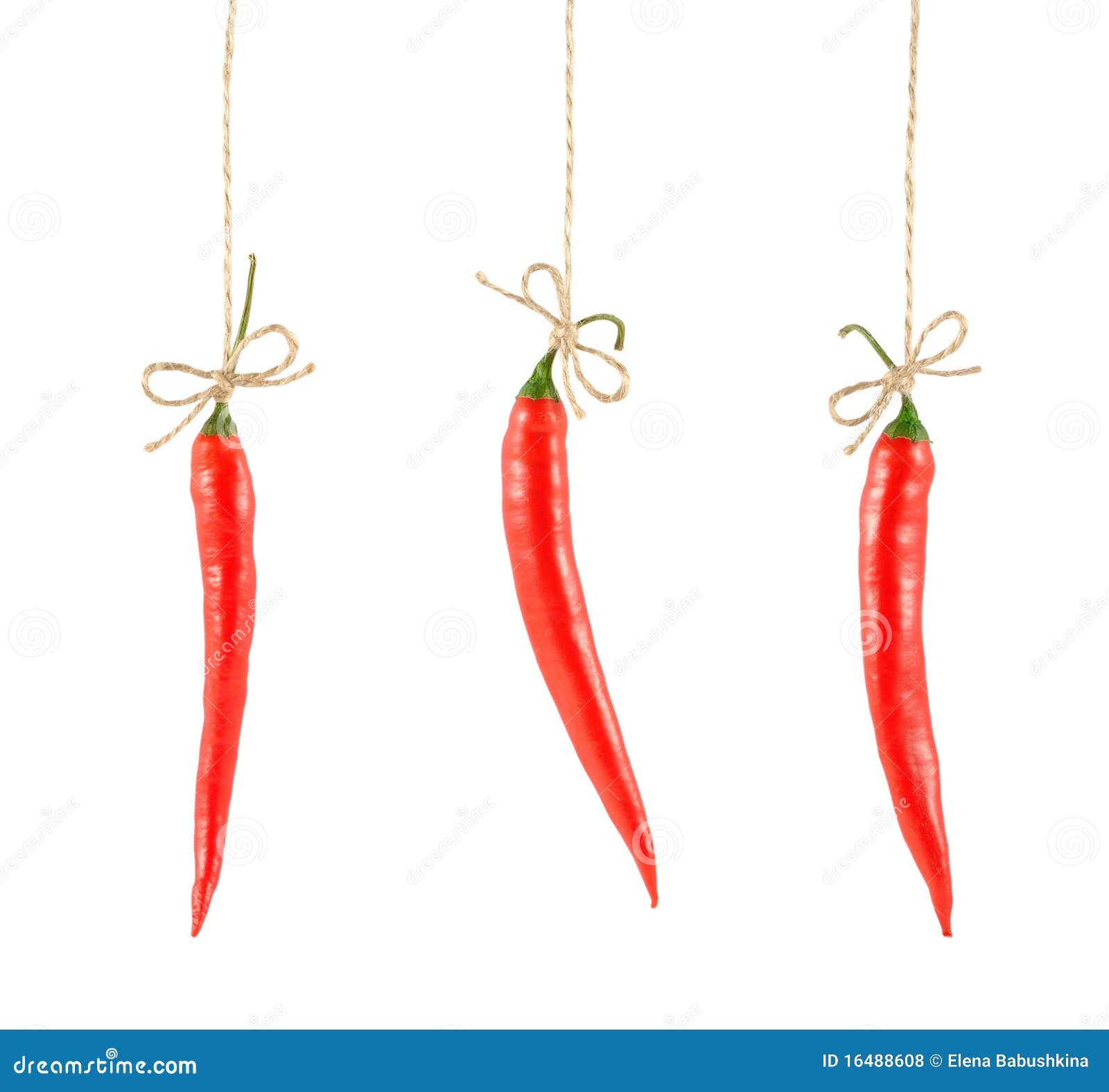 Red chilli stock photo. Image of pepper, background, eating - 16488608