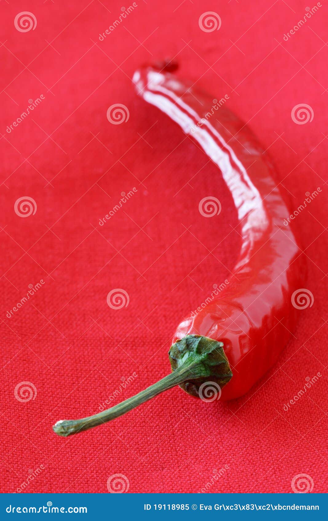 Red Chilli stock image. Image of chillie, fruit, vegetarian - 19118985