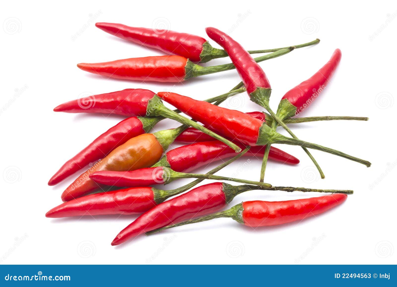 Red Chilli stock image. Image of healthy, color, food - 22494563