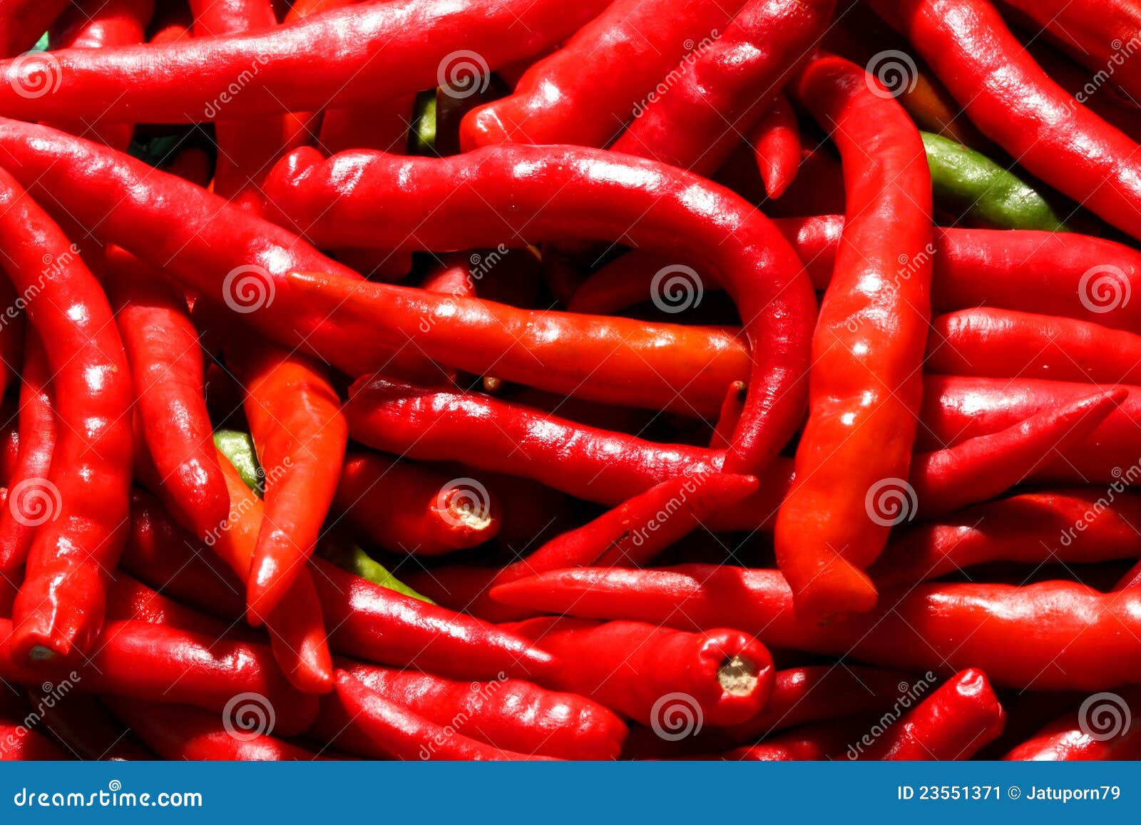 Red Chilli stock image. Image of healthy, ingredients - 23551371