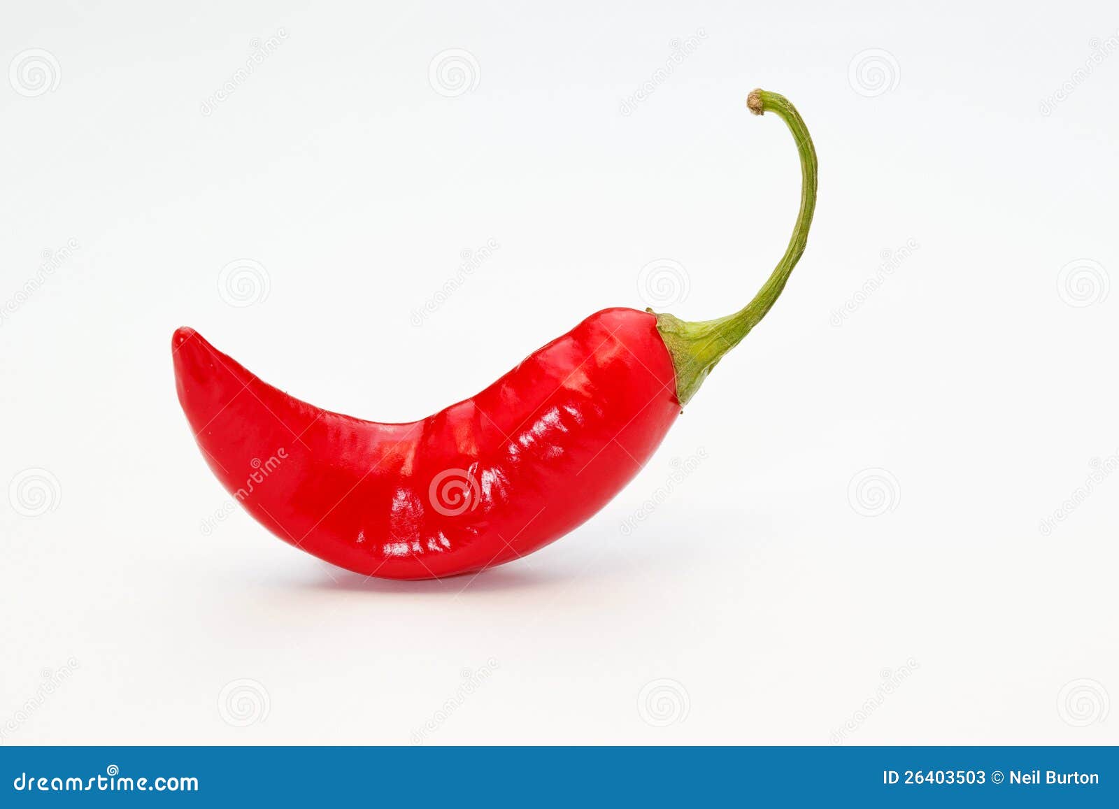 Red chilli stock image. Image of fresh, chillies, isolated - 26403503