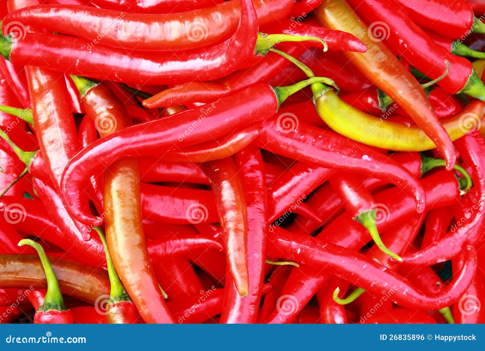 Red chilli stock photo. Image of market, textured, food - 26835896