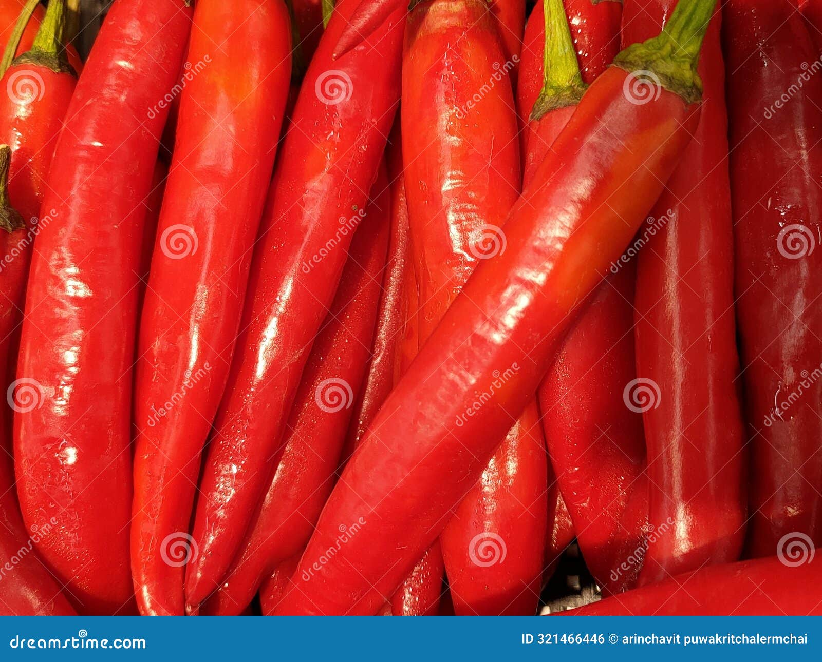 Red Chilli Background Royalty-Free Stock Photography | CartoonDealer ...