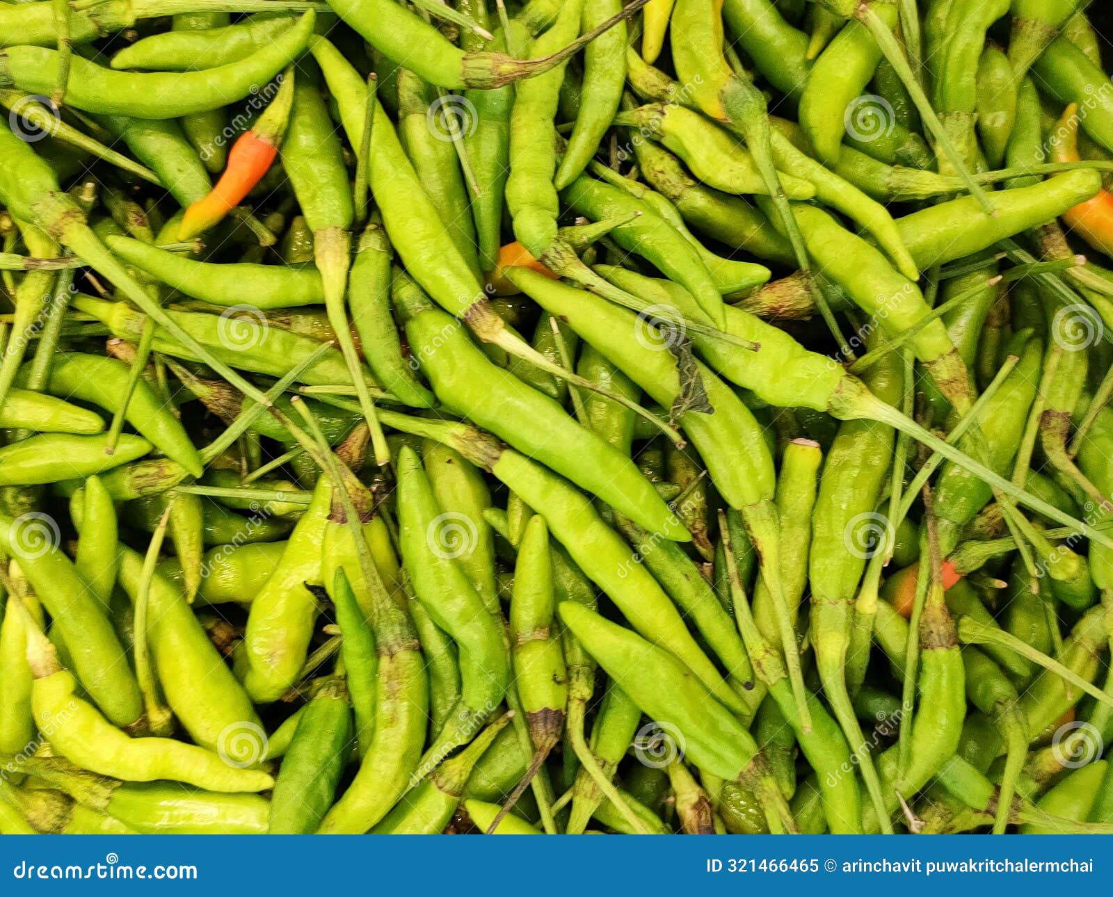 Red Chilli Background Royalty-Free Stock Photography | CartoonDealer ...