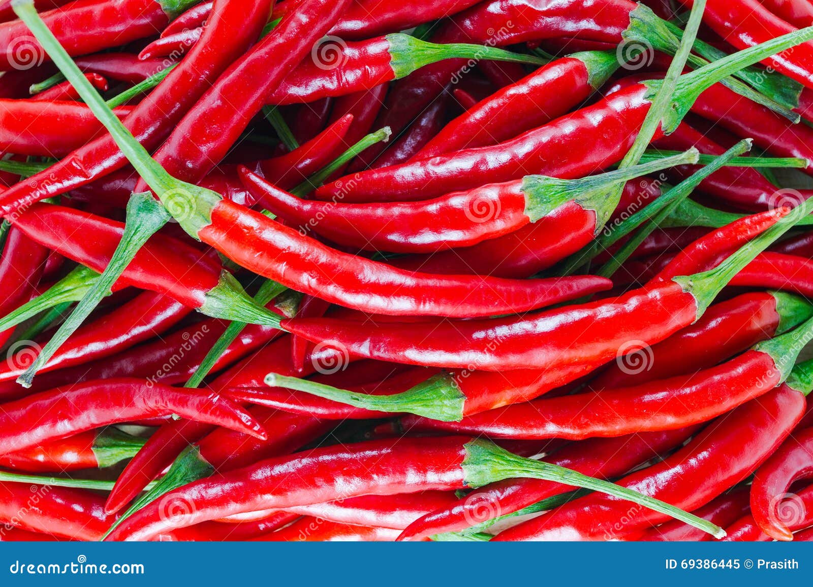 Red Chilli Background Royalty-Free Stock Photography | CartoonDealer ...