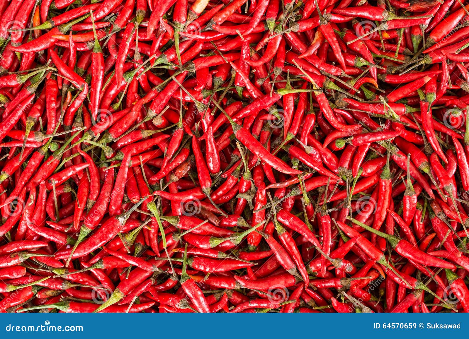 Red Chilli Background Royalty-Free Stock Photography | CartoonDealer ...