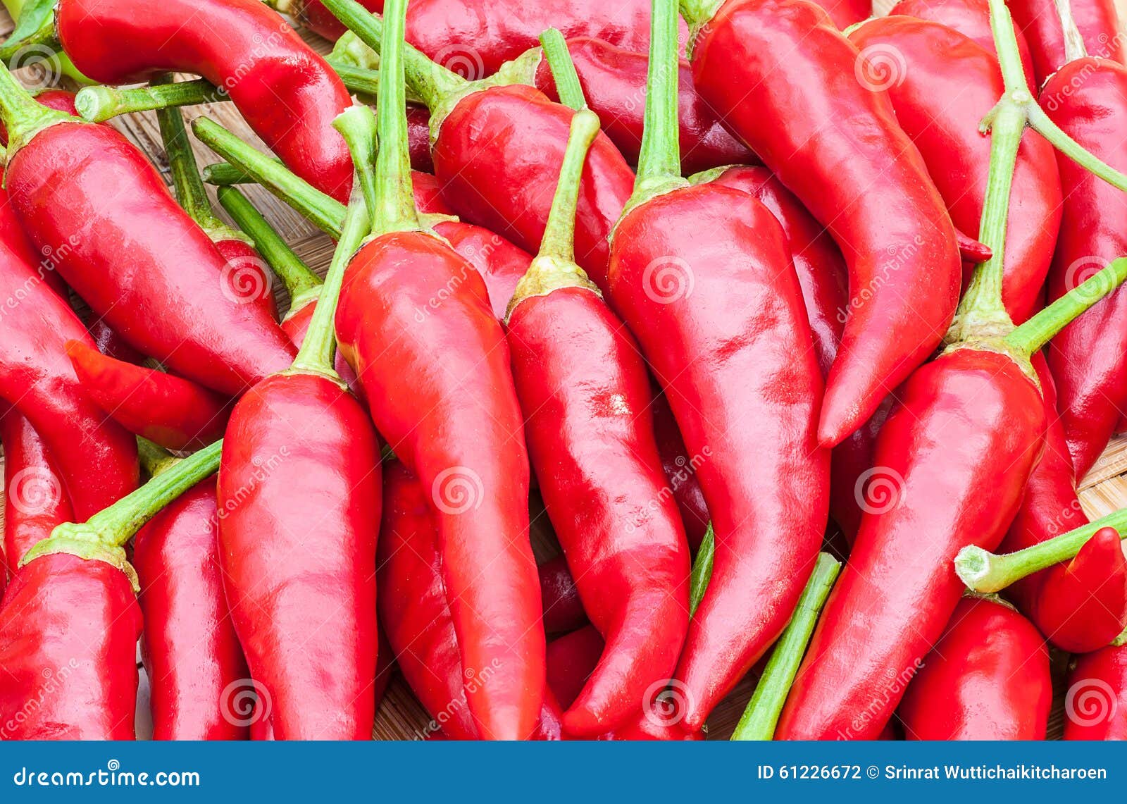 Red chilli stock photo. Image of ingredient, background - 61226672