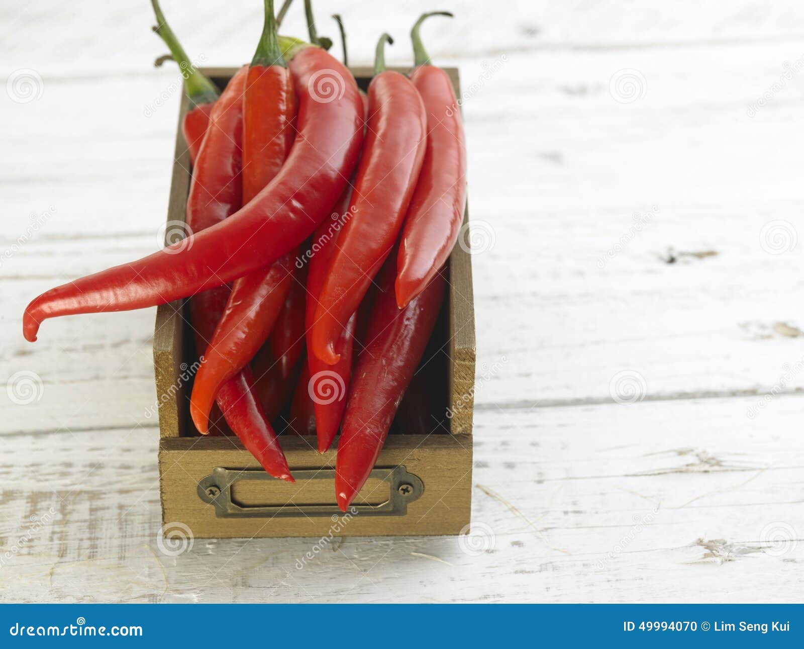 Red chilli stock photo. Image of freshness, spice, spicy - 49994070
