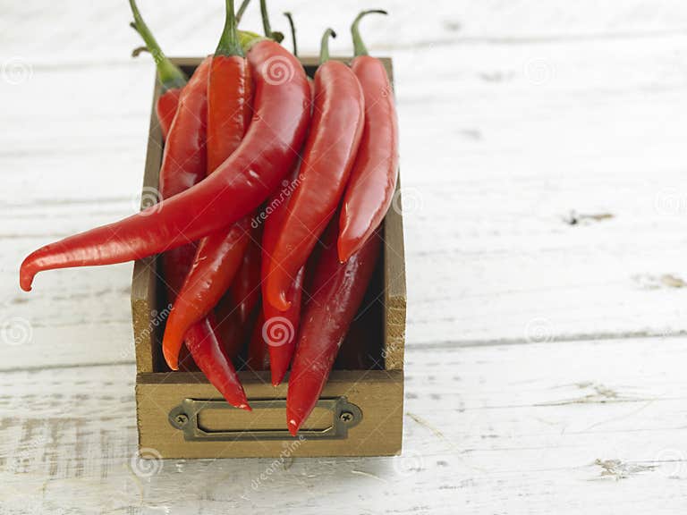 Red chilli stock photo. Image of freshness, spice, spicy - 49994070