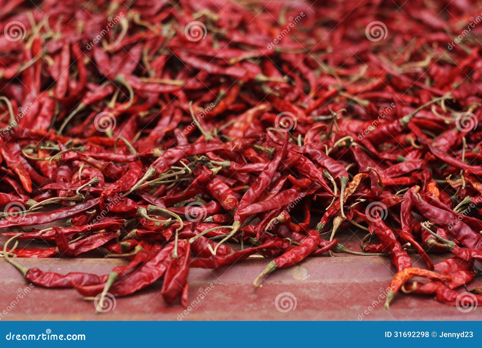 Red chilli stock photo. Image of chilly, laos, peppers - 31692298