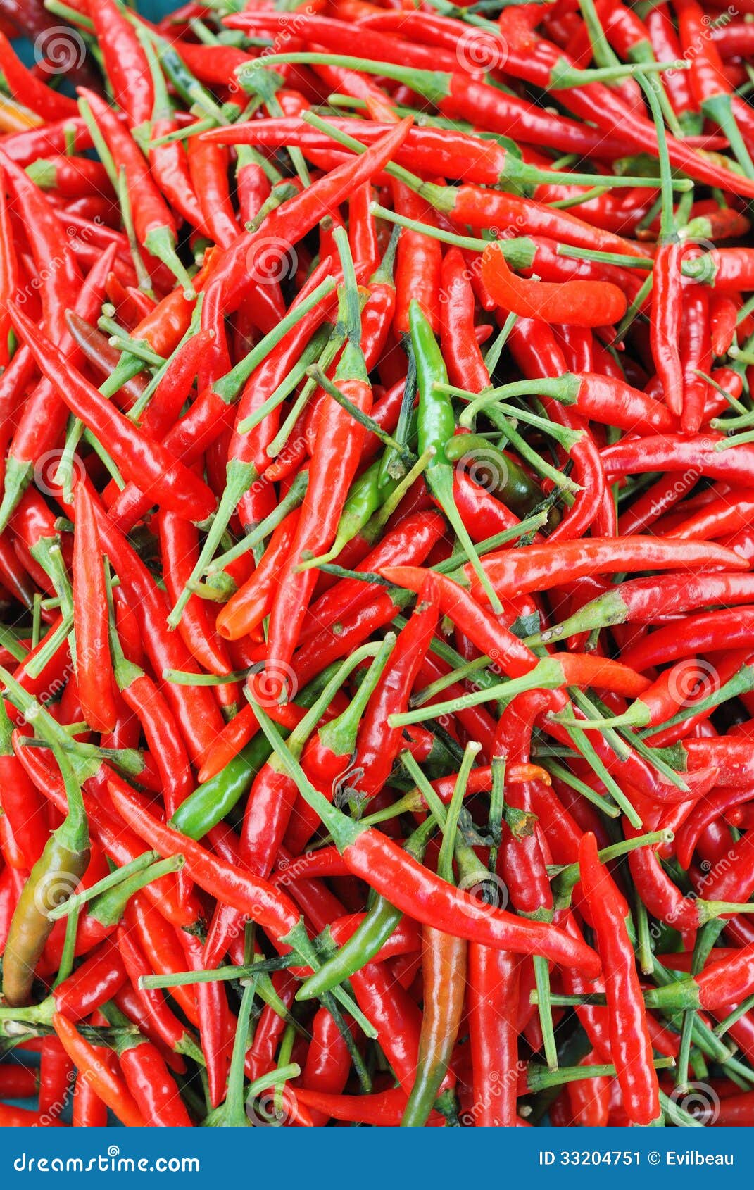 Red chilli stock image. Image of peppers, agricultural - 33204751