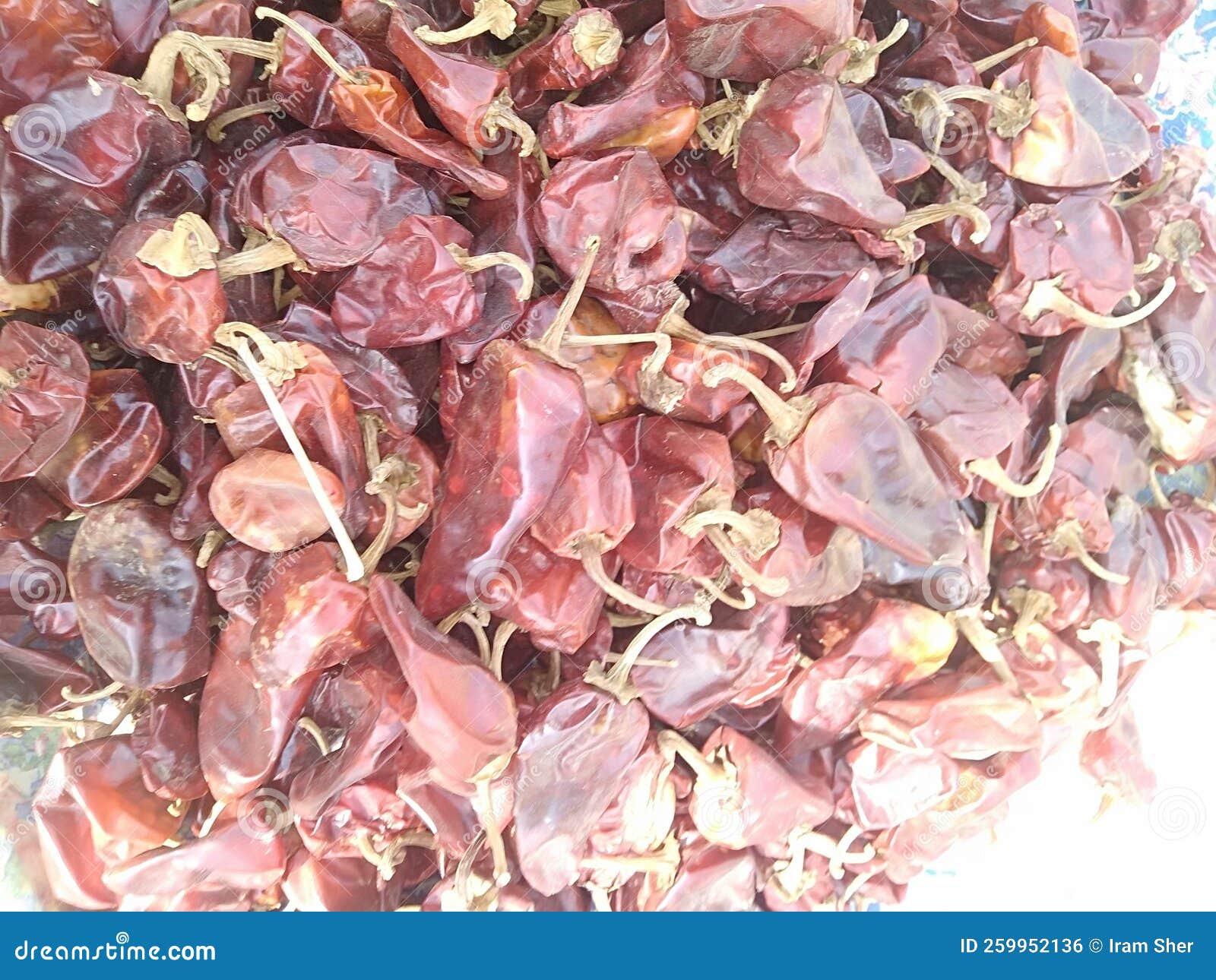 Red chilli stock photo. Image of petal, food, flower - 259952136