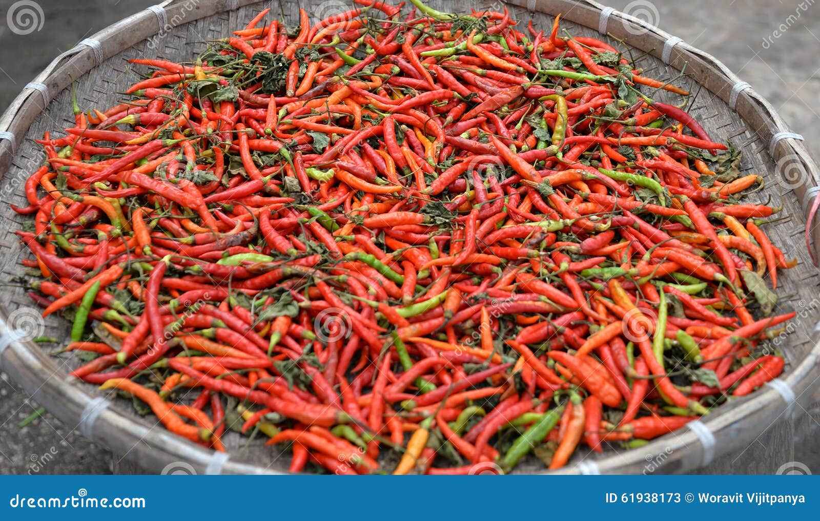 Red chilli dry stock image. Image of ingredient, asia - 61938173