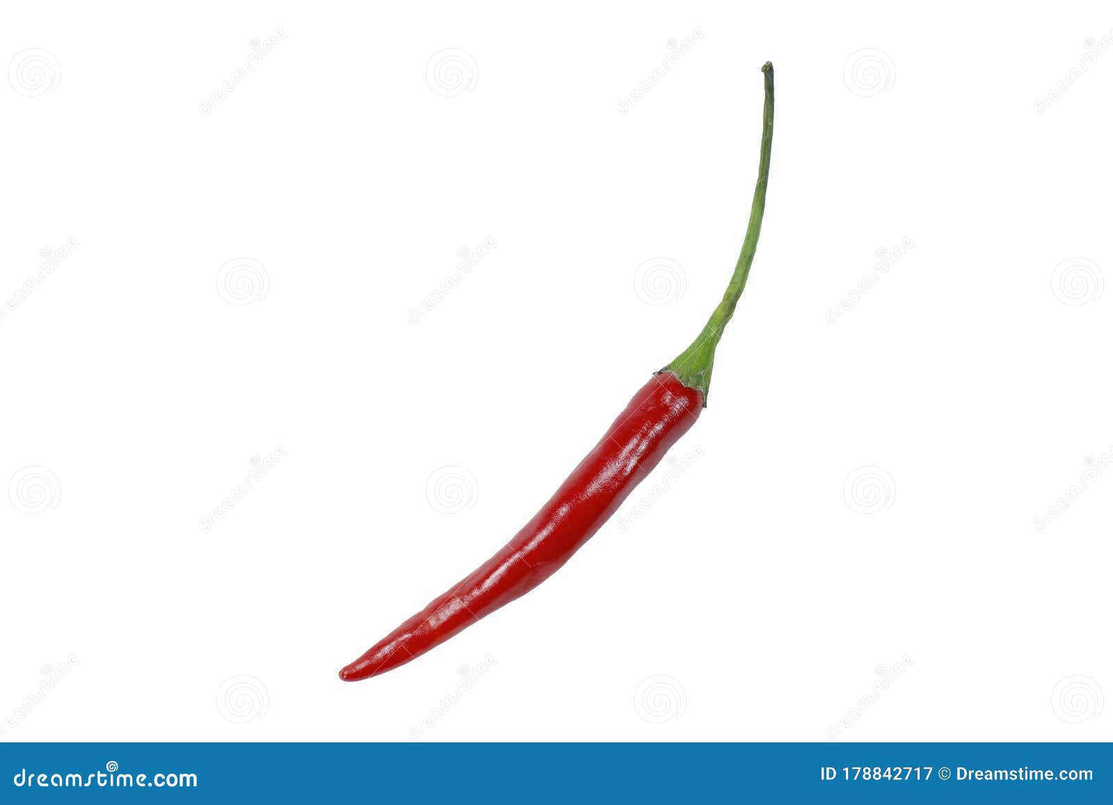 Red chilli feel spicy stock image. Image of color, macro - 178842717