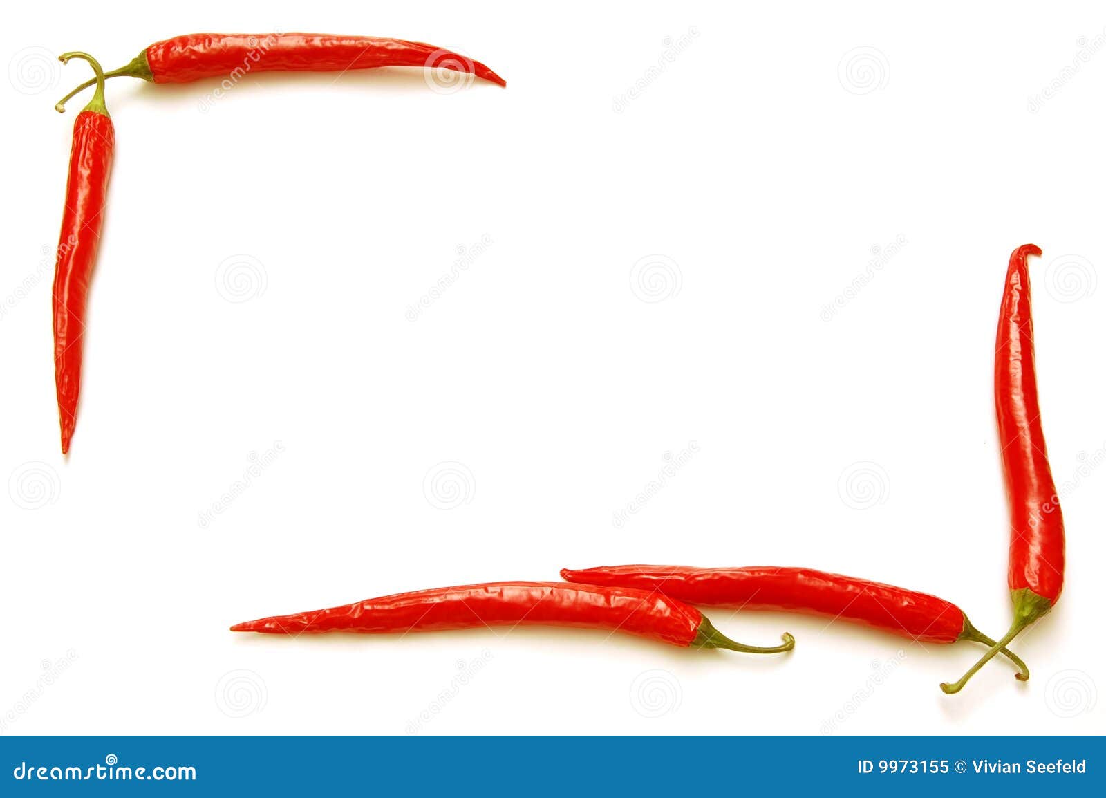 Red Chilli Frame Stock Images - Download 1,289 Royalty Free Photos