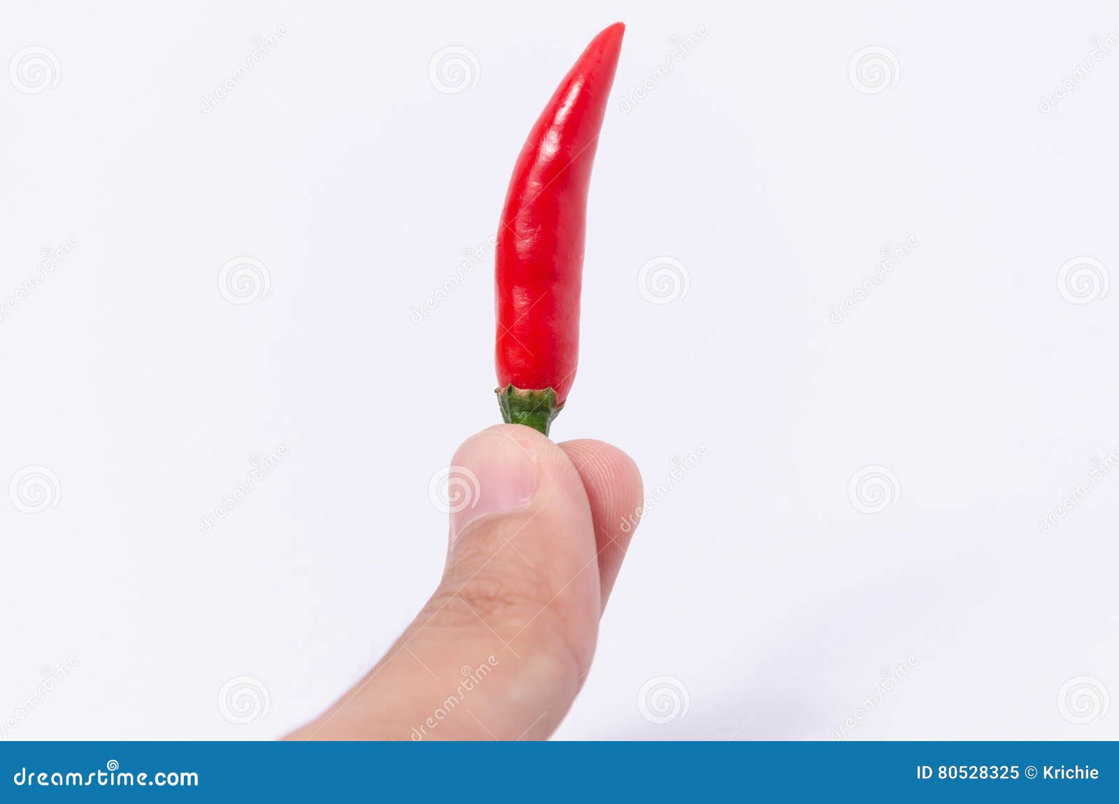 Red Chilli in Hand Isolated on White Background Stock Image - Image of ...