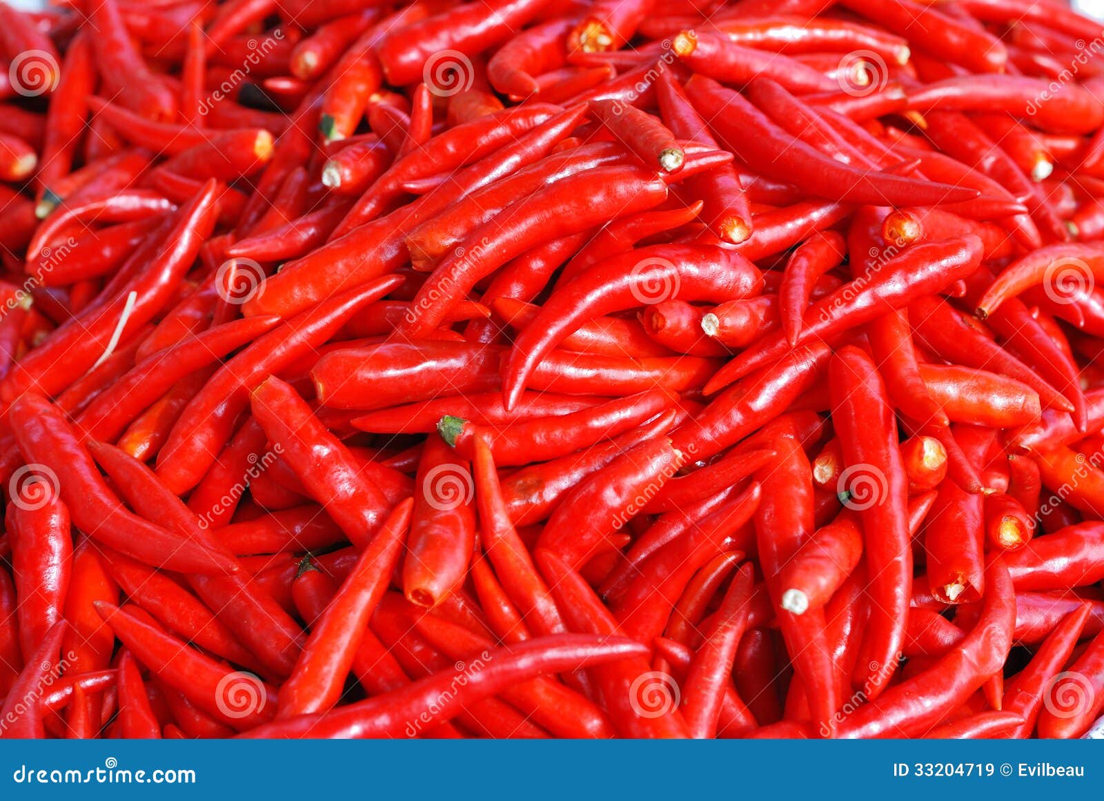 Red chilli stock image. Image of seasoning, food, spicy - 33204719